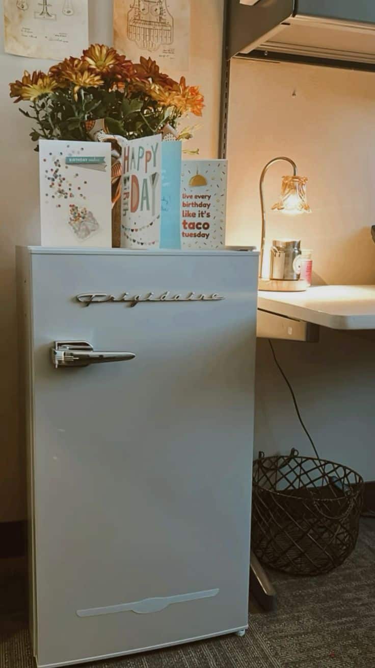 The 20 Best Mini Fridges for Dorm Rooms in 2026 (You’ll Actually Use ...